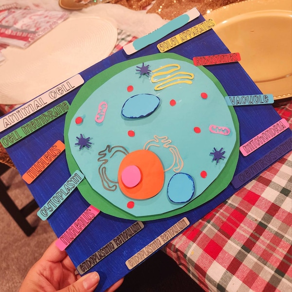 Plant Cell SVG and PDF Printable- a Homeschool or Classroom Science ...