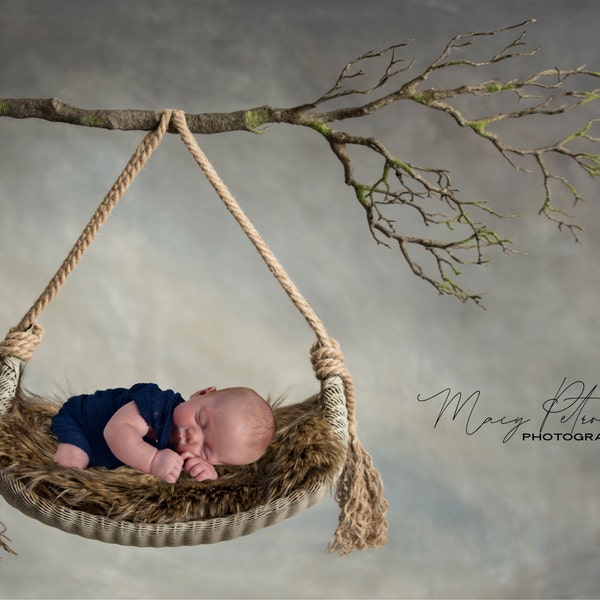 Digital Backdrop, Background Newborn Baby Girl or Boy, Hanging Swing ...