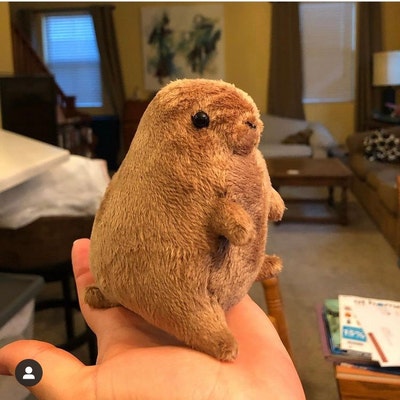 Prairie Dog Plushie - Etsy