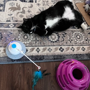 Is This a Kissing Book Princess Bride Dictionary Print Page Art ...