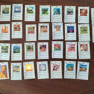 Learn Kipper Oracle Deck Printable Oracle Deck Printable Kipper Deck ...