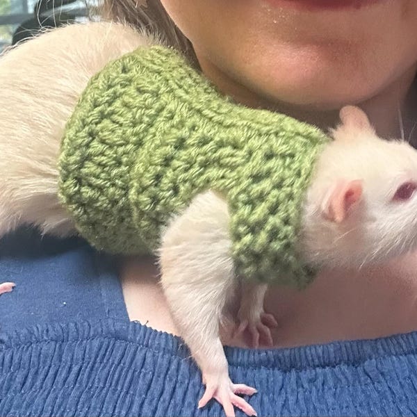 Rat Sweater - Cozy Sweater - Pet Sweater - Red Heart - Yarn - New ...