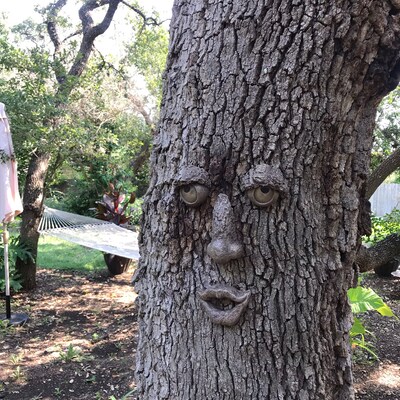 Tree Face - Etsy