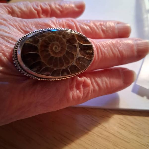 Ammonite Fossil Shell Gemstone Ring, 925 Sterling Silver, Oval Shape ...
