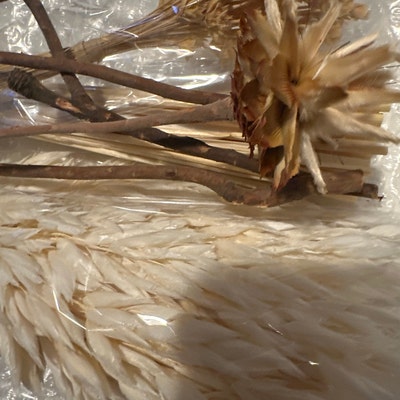 30/50/100 Sticks Dried Star Flower Blossomdry Mini Daisy Flowersdried ...