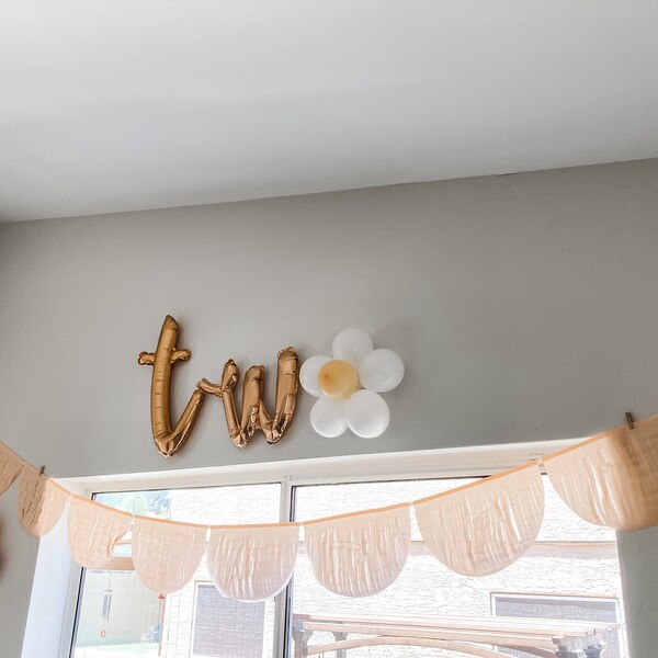 Retro Daisy Daisy TWO Banner | Gold Script Letters With Daisy Flower O ...