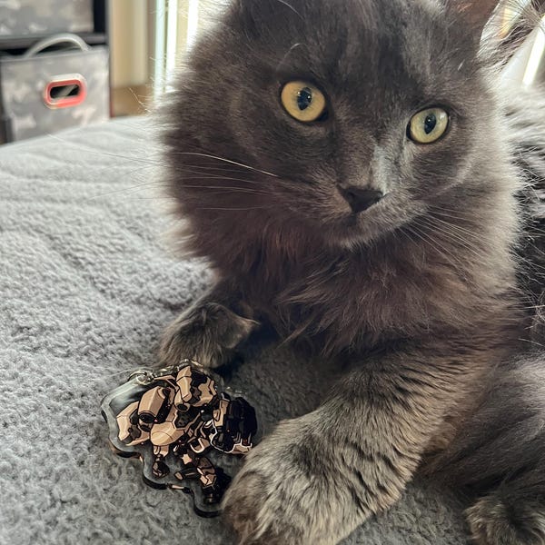 Honkai Star Rail Astral Express Bottle Cap Pins - Etsy