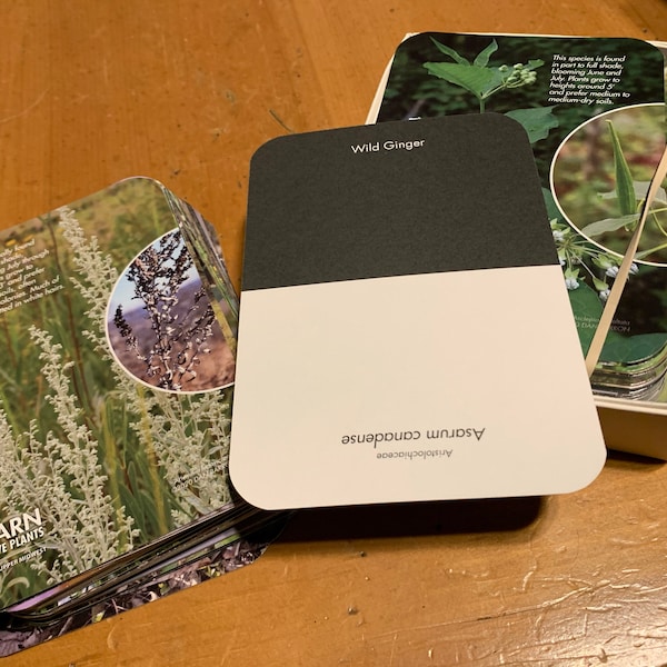 Flash Cards to Learn Native Plant Names, Learn Native Plants of the ...