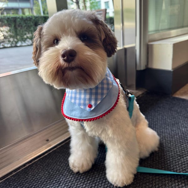 Handmade | Navy Style | Cat Dog Bandana| Cat Dog Bib | Puppy Collars ...