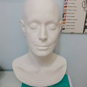 Life Mask Plastic CILLIAN MURPHY Made to Order Lifecast Life Life-size ...