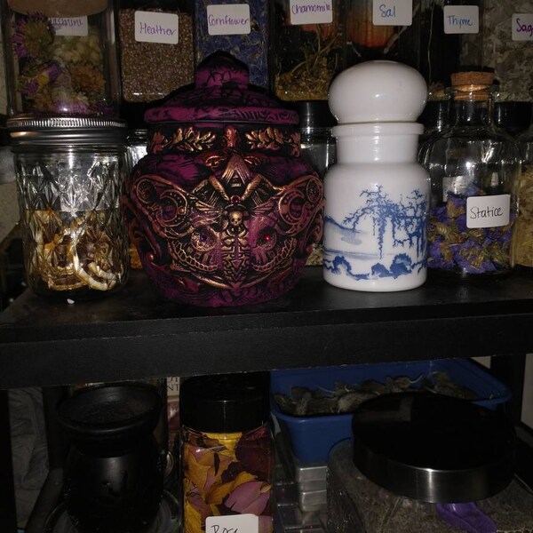 Deathshead Moth Apothecary Jar Potion Bottle / Gothic Home Decor Wiccan ...