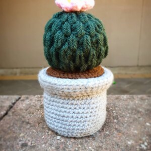 Cactus Trinket Box Crochet Pattern Crochet Cactus Jewelry - Etsy