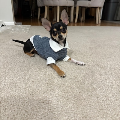 Knitted Muffler, S,L, Dog Cape, Pet Neckwear, Dog Neck Warmer, Pet ...