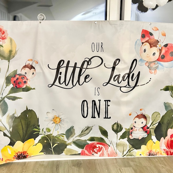 Ladybug Backdrop, Little Ladybug, Our Sweet Little Lady, Love Bug ...