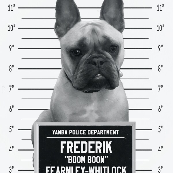 Custom Pet Mugshot Portrait, Personalized Pet Portrait, Funny Christmas ...