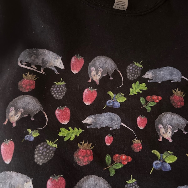 Chicken Sweatshirt, Women Chicken and Egg Shirt, Gift for Chicken Lover ...