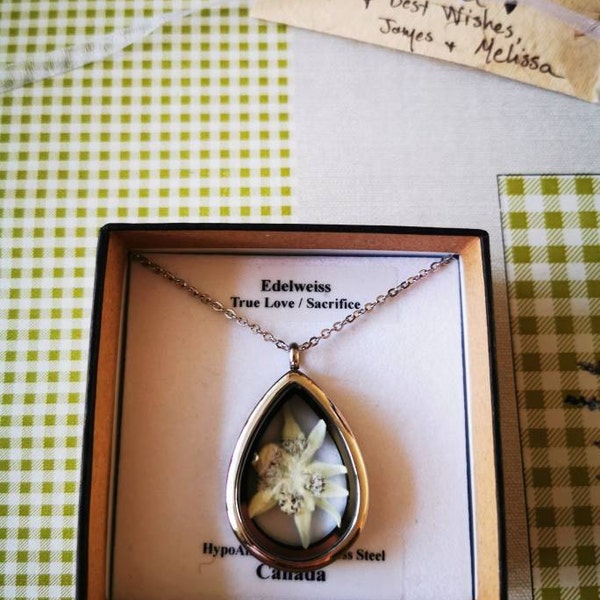 Real Pressed Edelweiss Locket | Romantic Flower of the Alps Silver ...