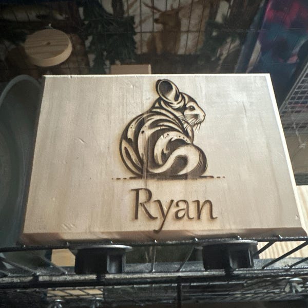 Custom Reptile Hide/snake Hide/ Gecko Hide/customizable - Etsy