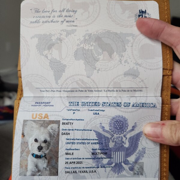 The Pet Pass 50 US State Stamp Stickers - Etsy