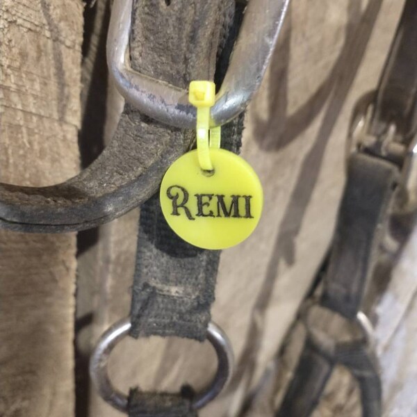 1.5” Color Coded Horse Blanket ID Tag Set - Etsy
