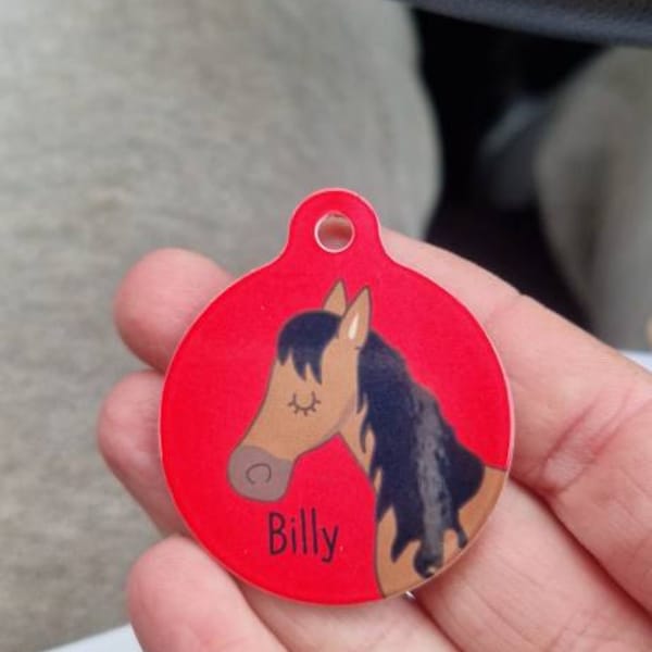 Equestrian Horse ID Tag - Personalised Horse Bridle Tag - Horse Gifts ...