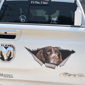 Rabbit window sticker car sticker Rabbit car decal | Etsy