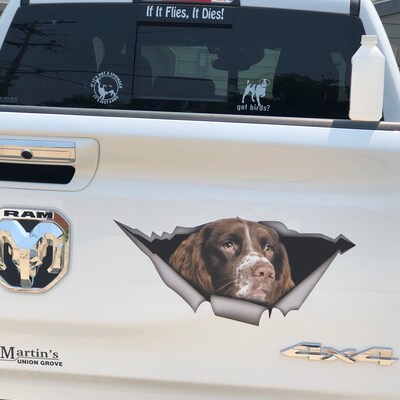 Springer Spaniel Car Decal Dog Car Decal Spaniel Car - Etsy