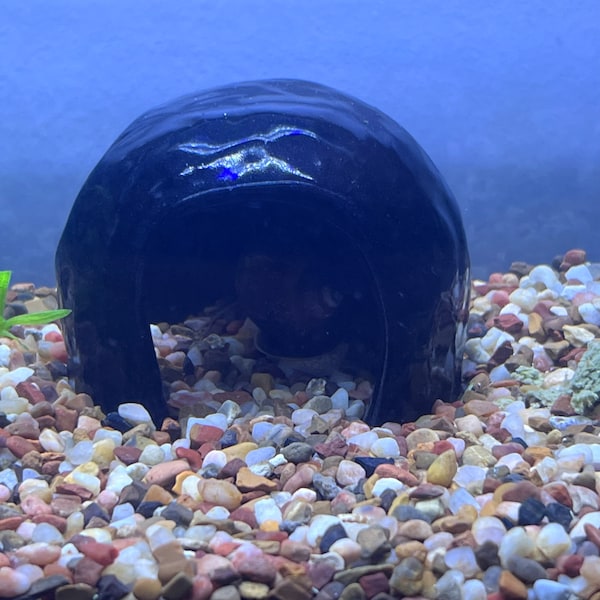 Small Fish Hide MADE TO ORDER - Betta Fish Cave - Small Aquarium Decor ...