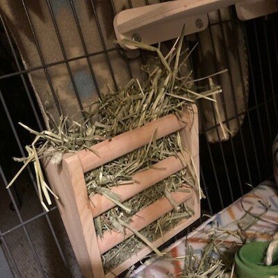 Stainless Steel Scatterless Litter Box With Wood Hay Feeder Food Stand ...