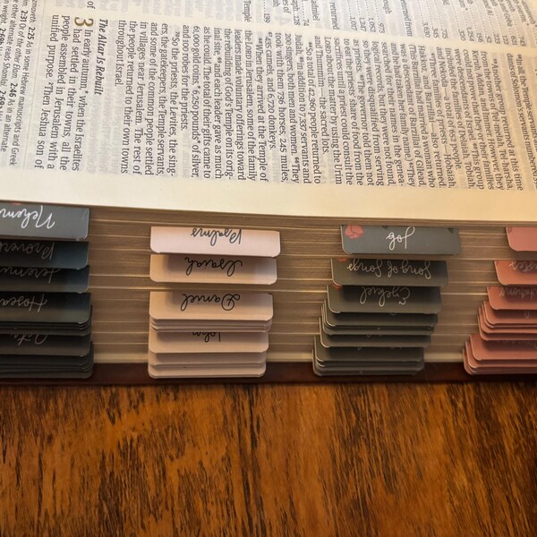 Bible-niv- Application Bible, Hand Tabbed, Leathersoft - Etsy