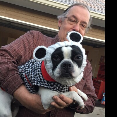 Panda Dog Snood Knit Crochet Dog Hat Easter Dog Costume - Etsy