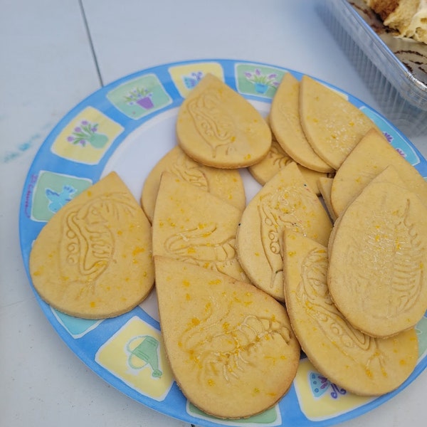 Trilobite Cookie Cutter | Bakerlogy Biscuit Cutters Extinct Marine ...