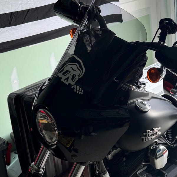 Stay Feral | Car Decal Sticker | Car Accessories | Cute Car Decor ...