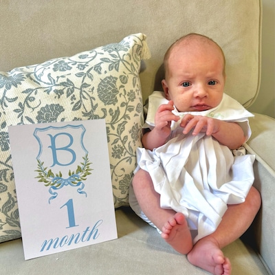 Watercolor Monogram Crest Baby Milestone Cards Baby Shower Gift Month ...