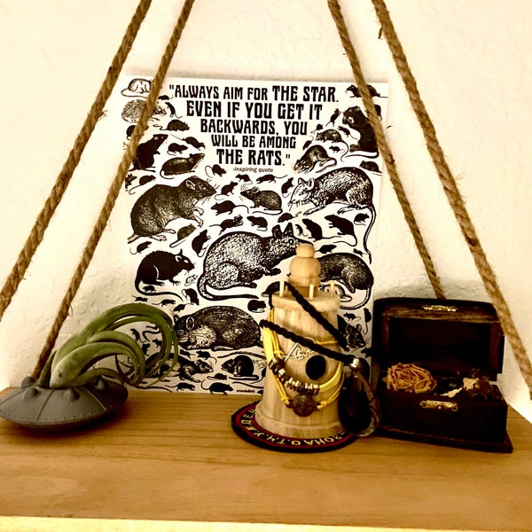 Alien Succulent Planter | Office Decor | Home Decor | Modern Planter ...