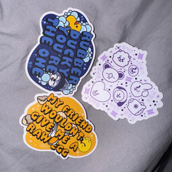 SKZ Bookshelf CLEAR Vinyl Stray Kids Merch, SKZOO Waterproof ...