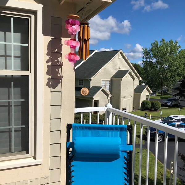 Natural Mussels Clam Shell Carving Dragon Model on Stand Large Size ...