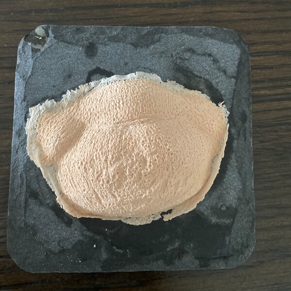 Special FX Makeup - Halloween - Foam Latex Prosthetic - Old Age Chin - Etsy