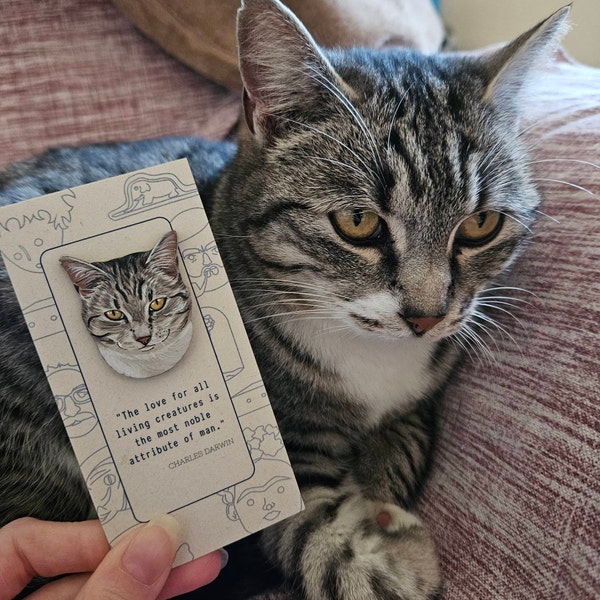 Hand Painted Wooden Cat Pin | Cute, Angry or Indifferent Kitty Brooch ...