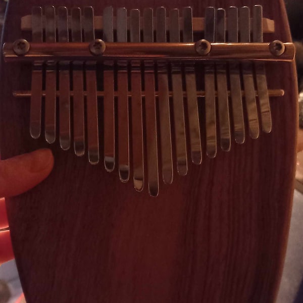 Bass Diddley Bow - Etsy