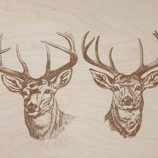 35 White Tail Deer Design Bundle SVG-PNG Detail Designs for Laser ...