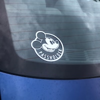 Disney Annual Passholder Decal - Etsy