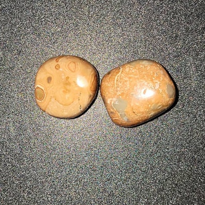 Leopardite Jasper Crystal Tumbled Stone Polished Stone Gemstone ...