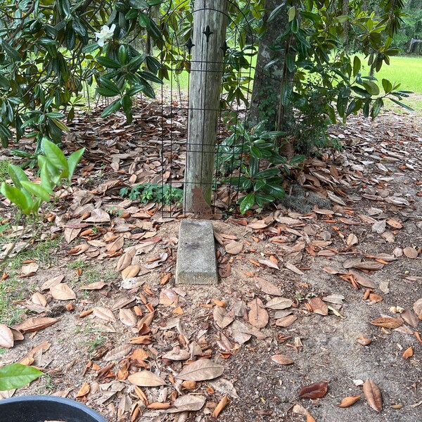 Custom Cricket Medal Hanger, Metal Wall With LED Light, Cricket, House ...