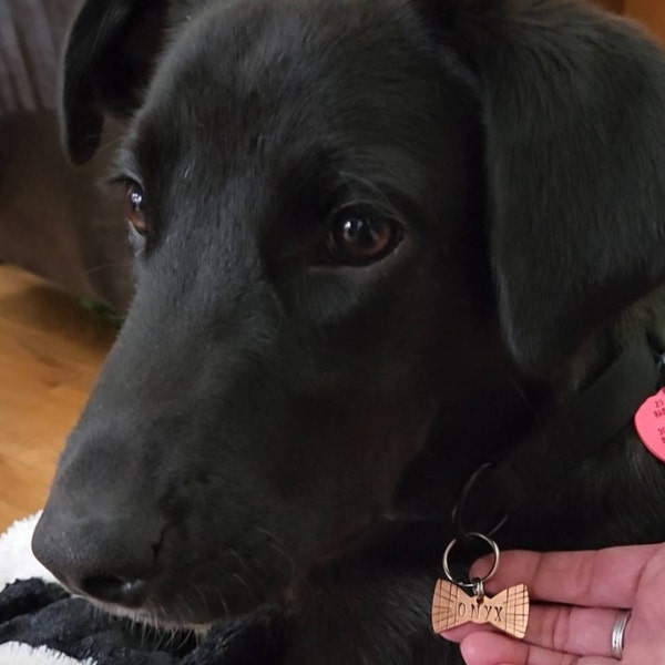 You're a Gem / Custom Hand Stamped Dog Tag, Personalized Metal Pet ID ...