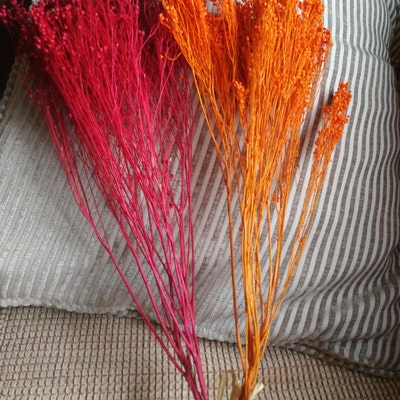 Mini Dried Bunches in Red, Red Dried Flowers, Small Flower Bundles, Red ...