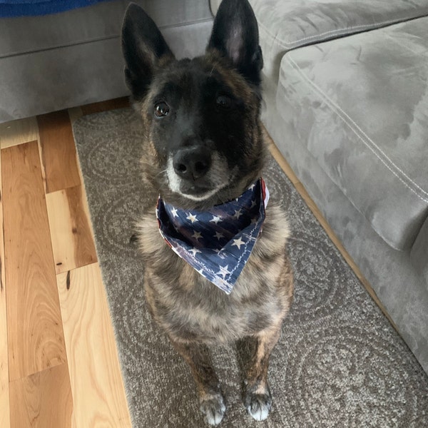 American Flag - Patriotic - 4th of July - Dog Bandana - Red White Blue ...