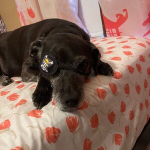 Custom Eye Patch for Dogs or Cats 100 % Cotton/ No Felt | Etsy