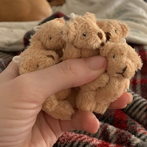 Very Tiny Soft Fuzzy Stuffed Teddy Bear for 6yrs or Older | Etsy