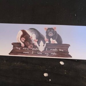 Rat Birthday Card Two Rats Enjoying a Birthday Cake and Party Rat ...